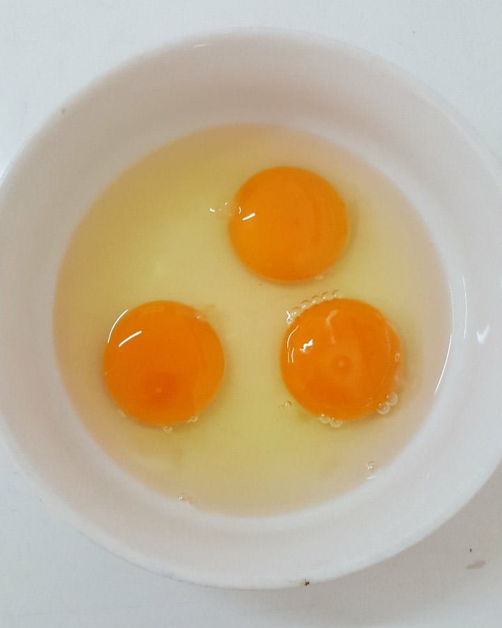 Home [telur-ayam.com]